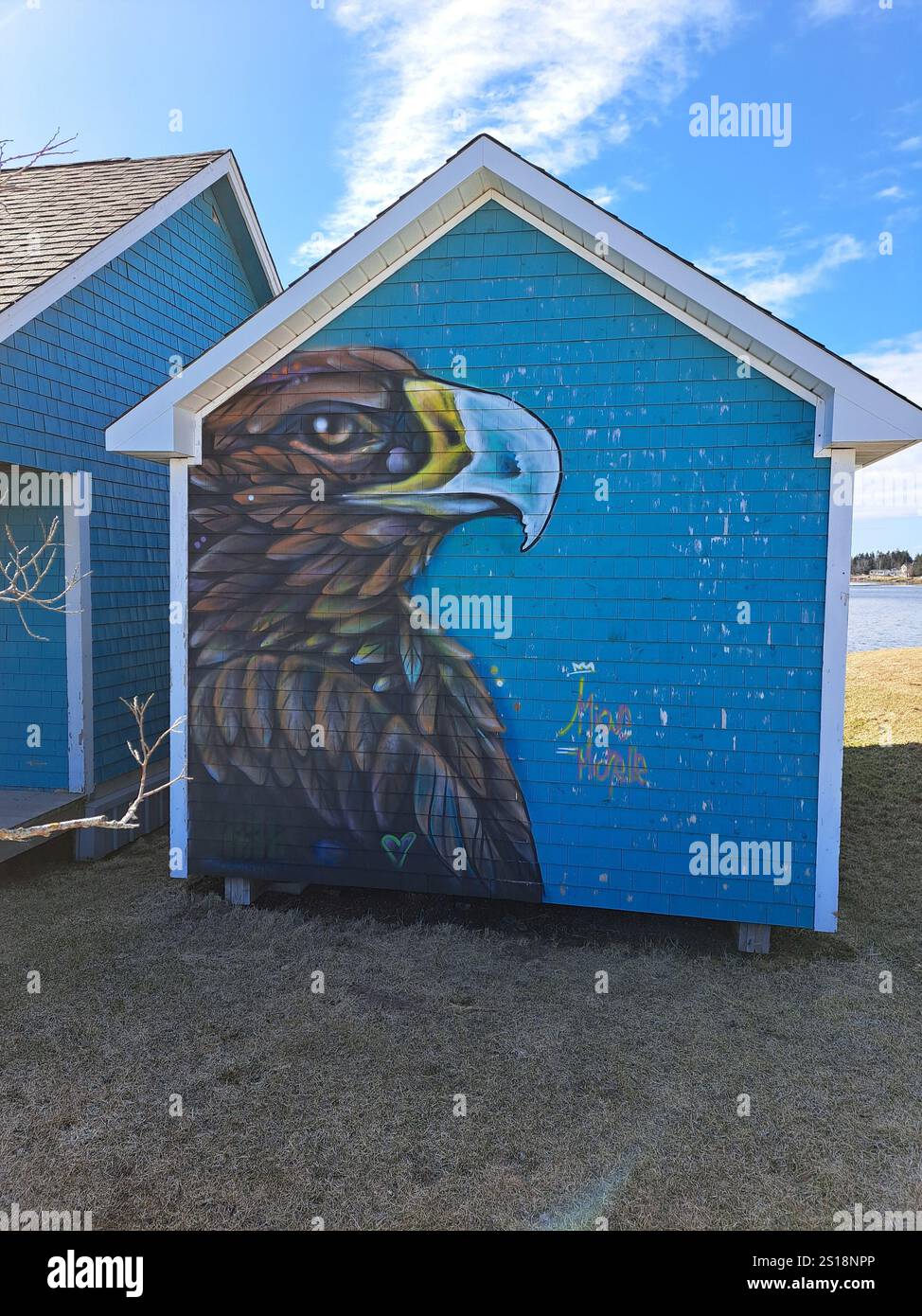 Mural of a hawk in Shediac, New Brunswick, Canada Stock Photo - Alamy