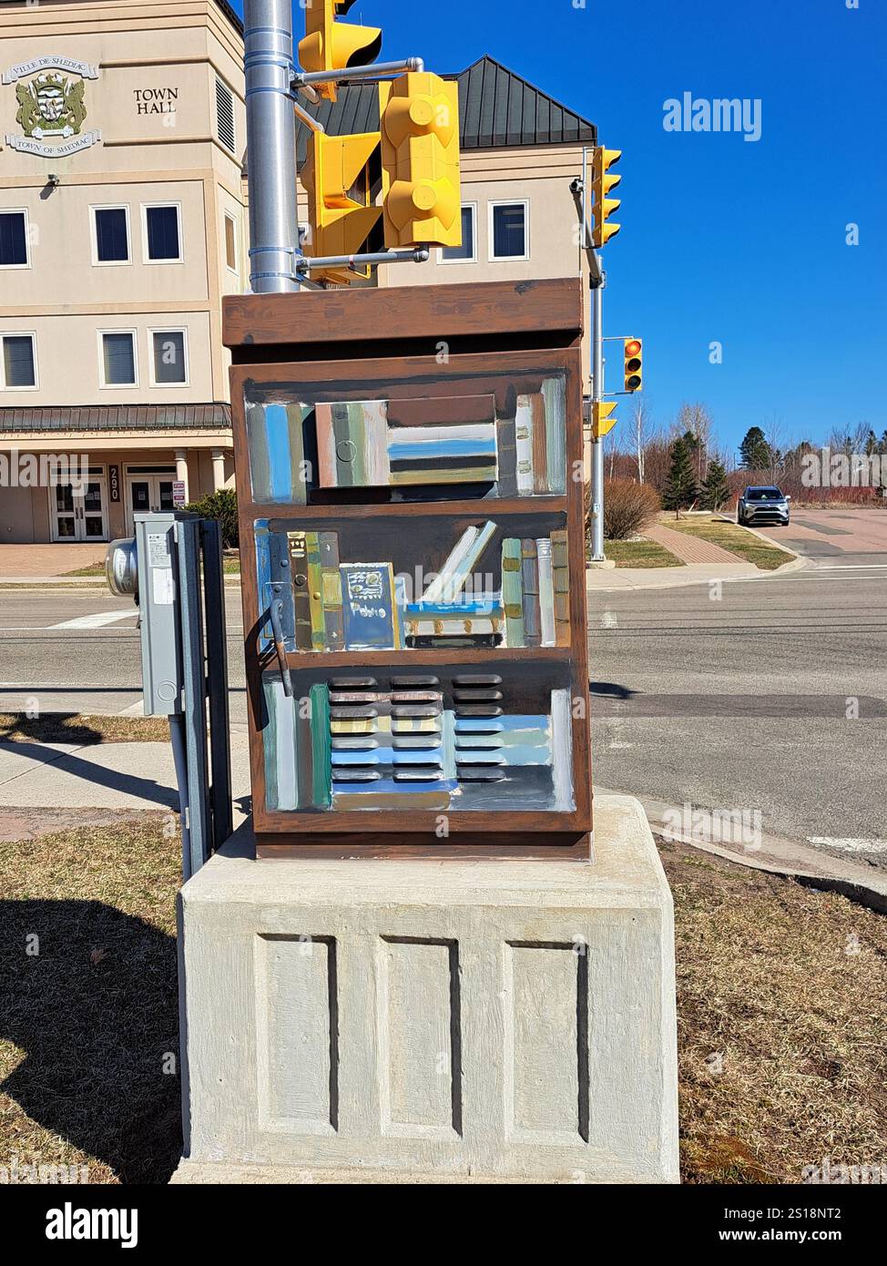 Mural of library books on an electrical traffic control box in downtown ...