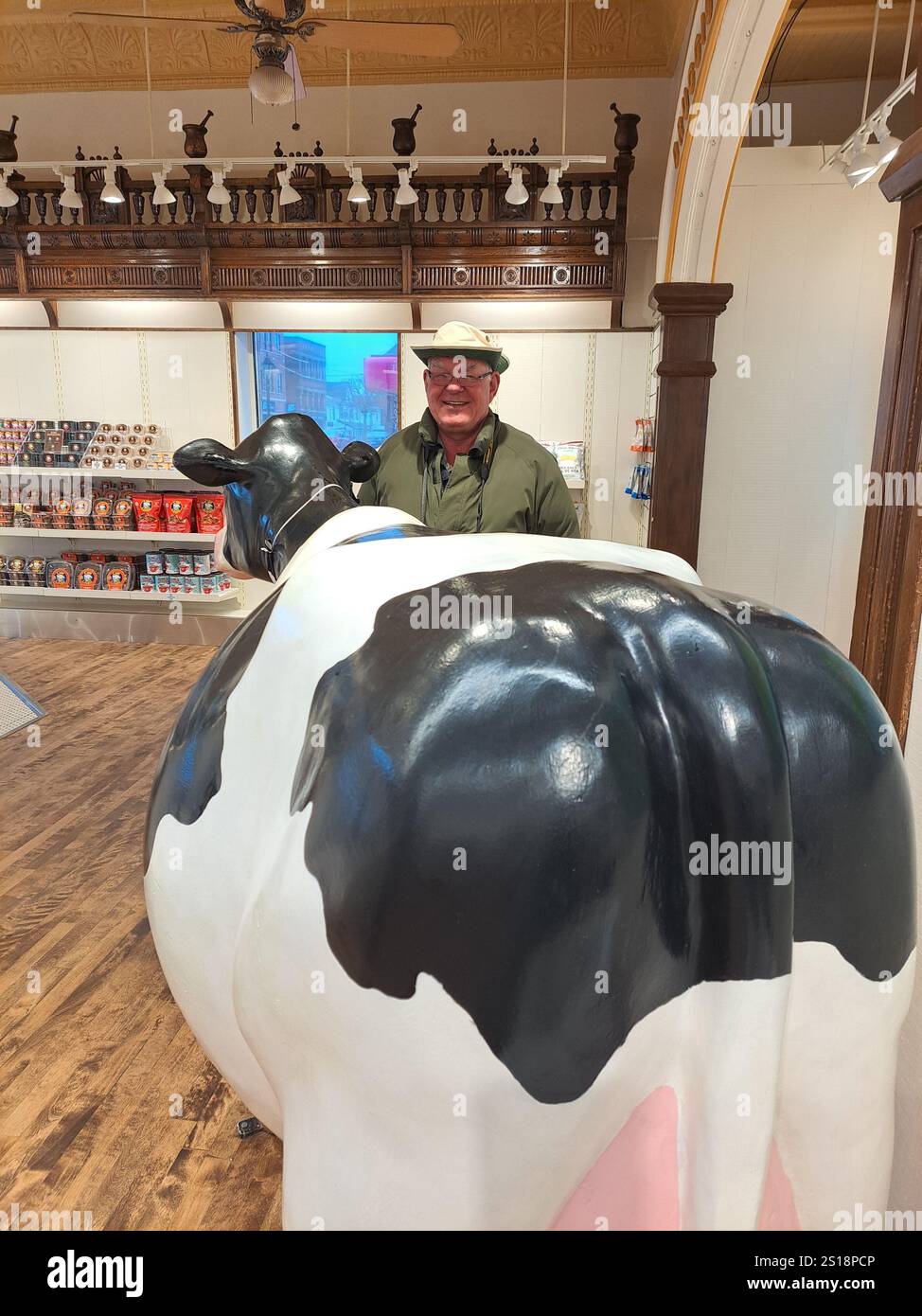 Rear end of the cow statue inside Cows ice cream on Queen Street in ...