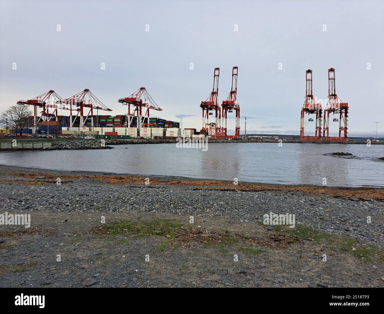 Container cranes at the port across from Point Pleasant Park in Halifax ...