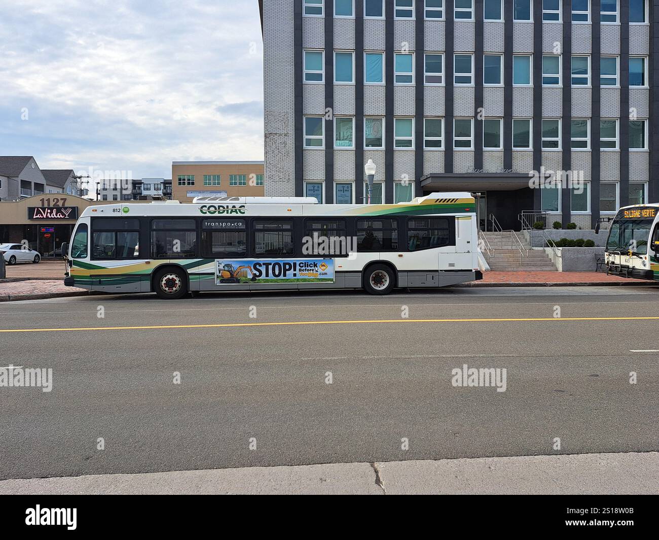 City bus on Main Street in downtown Moncton, New Brunswick, Canada ...