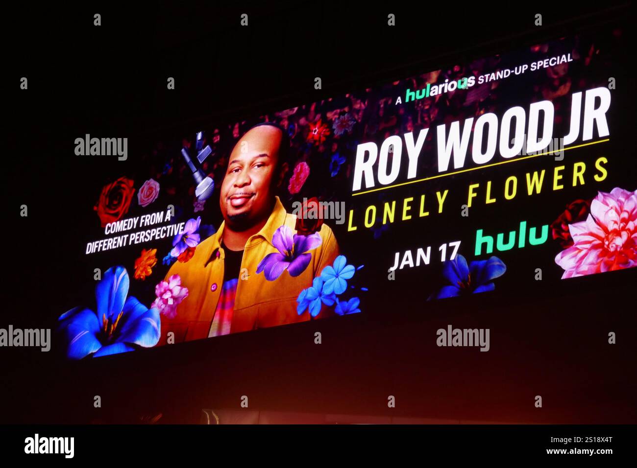 Los Angeles, California, USA 1st January 2025 Roy Wood Jr. Lonely ...