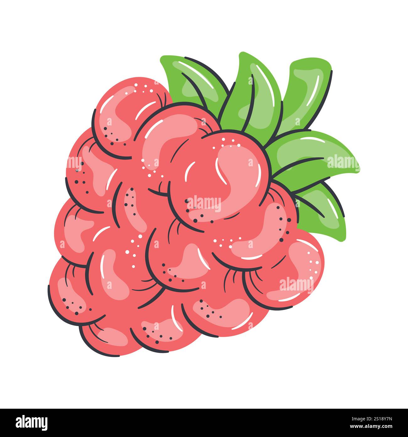 Vine carrot Stock Vector Images - Alamy