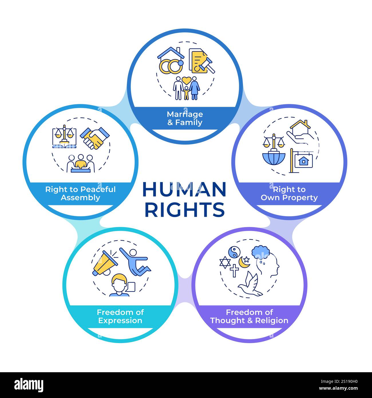 Society freedom rights infographic circles flowchart Stock Vector Image ...