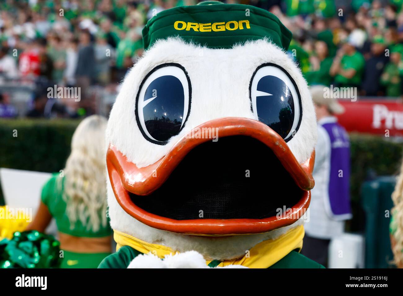 PASADENA, CA - JANUARY 01: Oregon Ducks mascot during the Ohio State ...