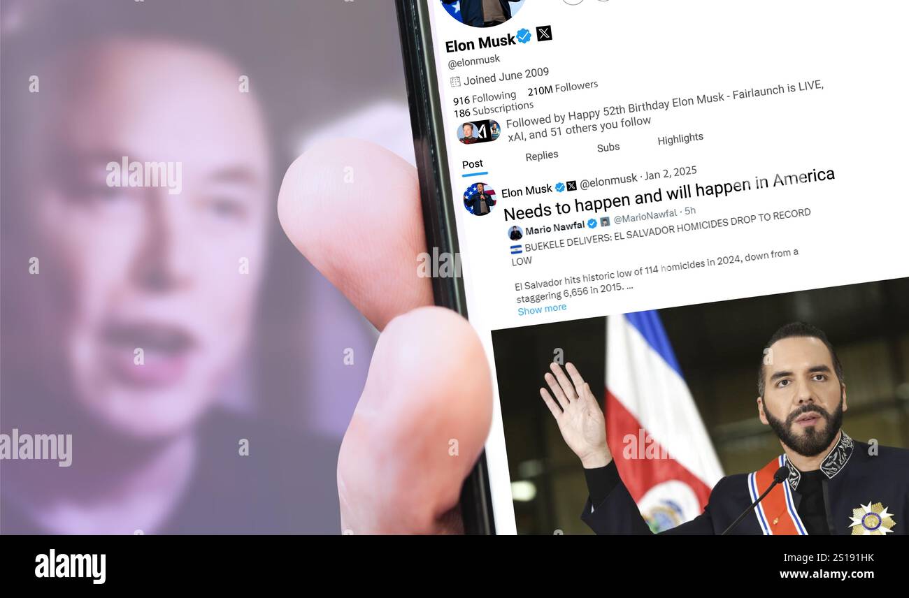 Poltava, Ukraine - January 2, 2025. Elon Musk Twitter profile Stock ...