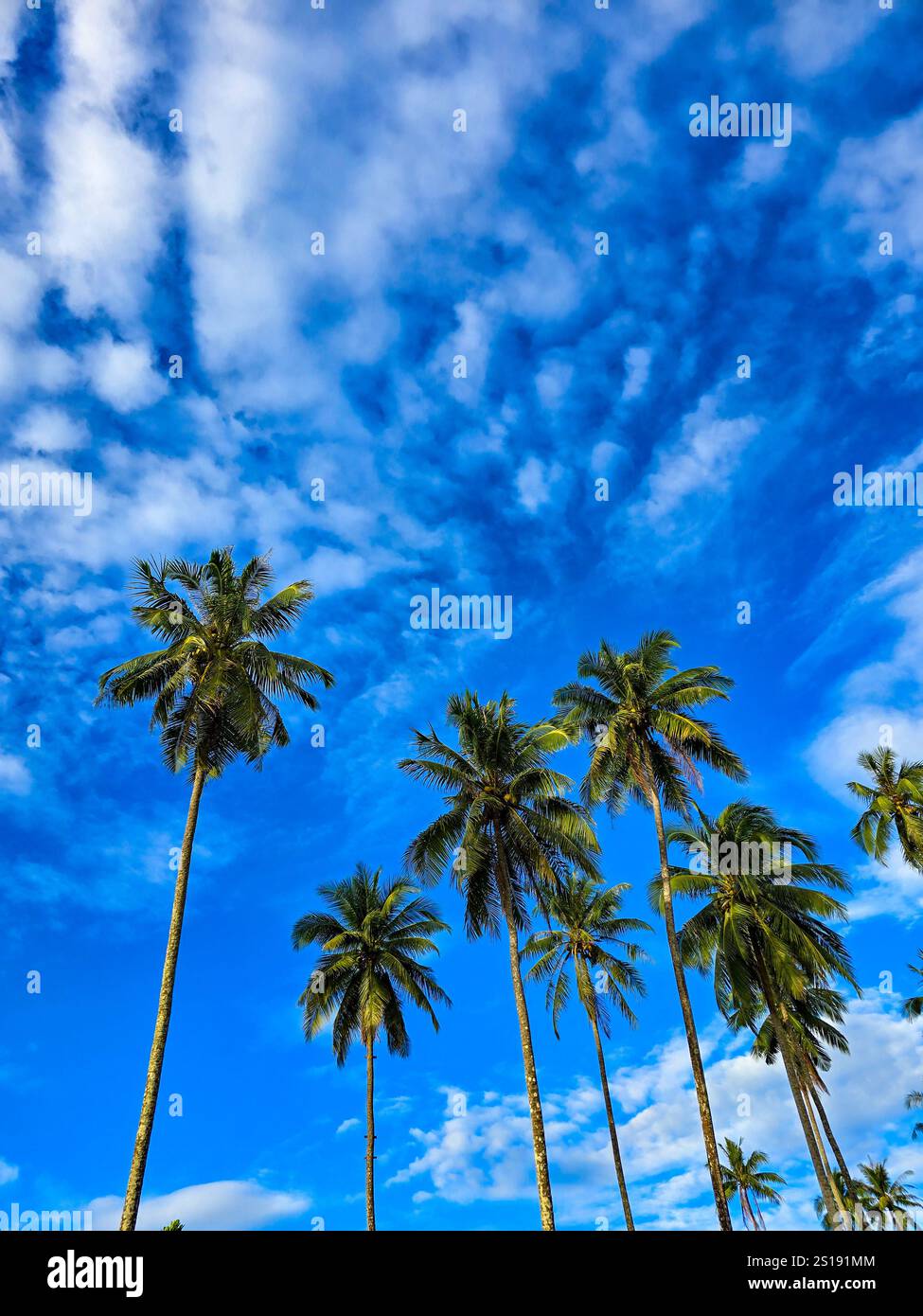 Beneath a breathtaking azure sky hi-res stock photography and images ...