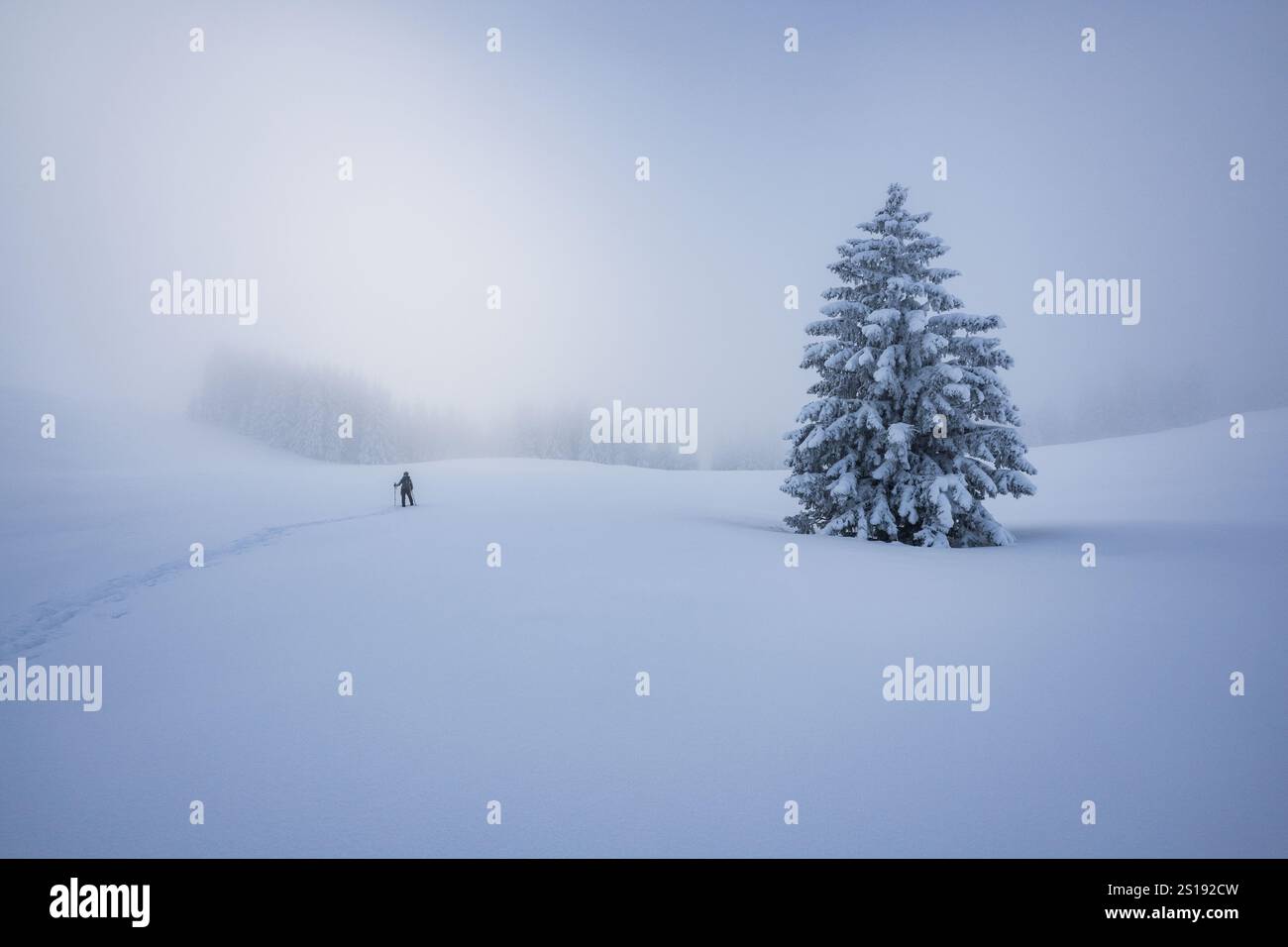 Schneeschuhwanderung im Postalm Winterpark im Salzkammergut an den ...