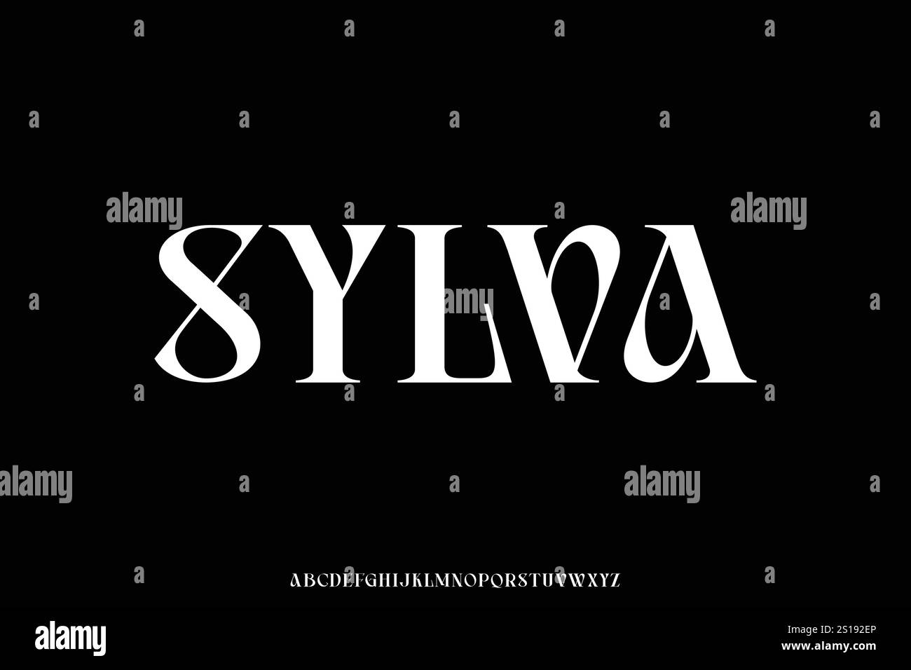 Strong elegant decorative serif alphabet stylish display font vector ...