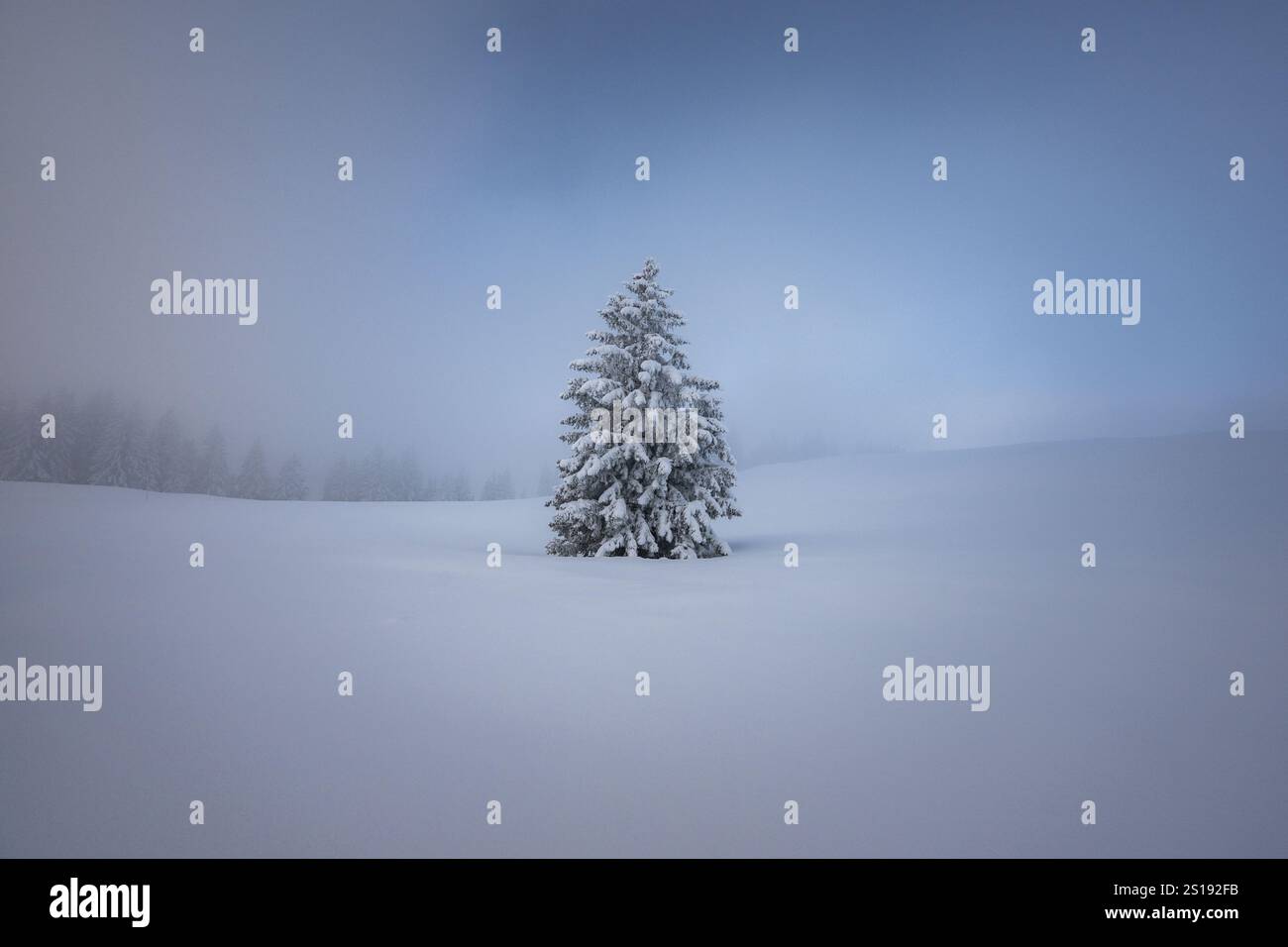 Schneeschuhwanderung im Postalm Winterpark im Salzkammergut an den ...