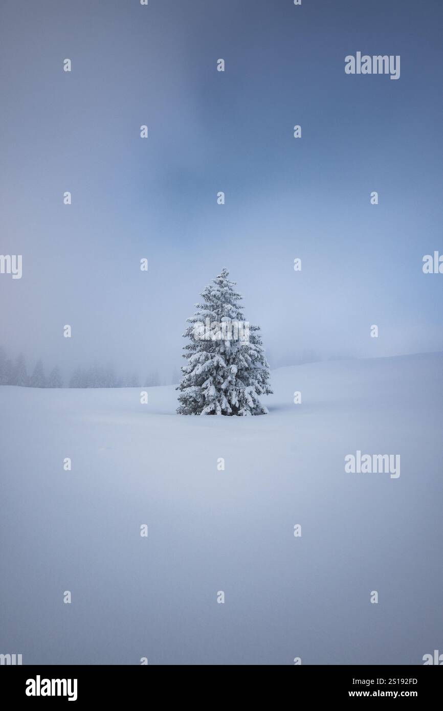 Schneeschuhwanderung im Postalm Winterpark im Salzkammergut an den ...