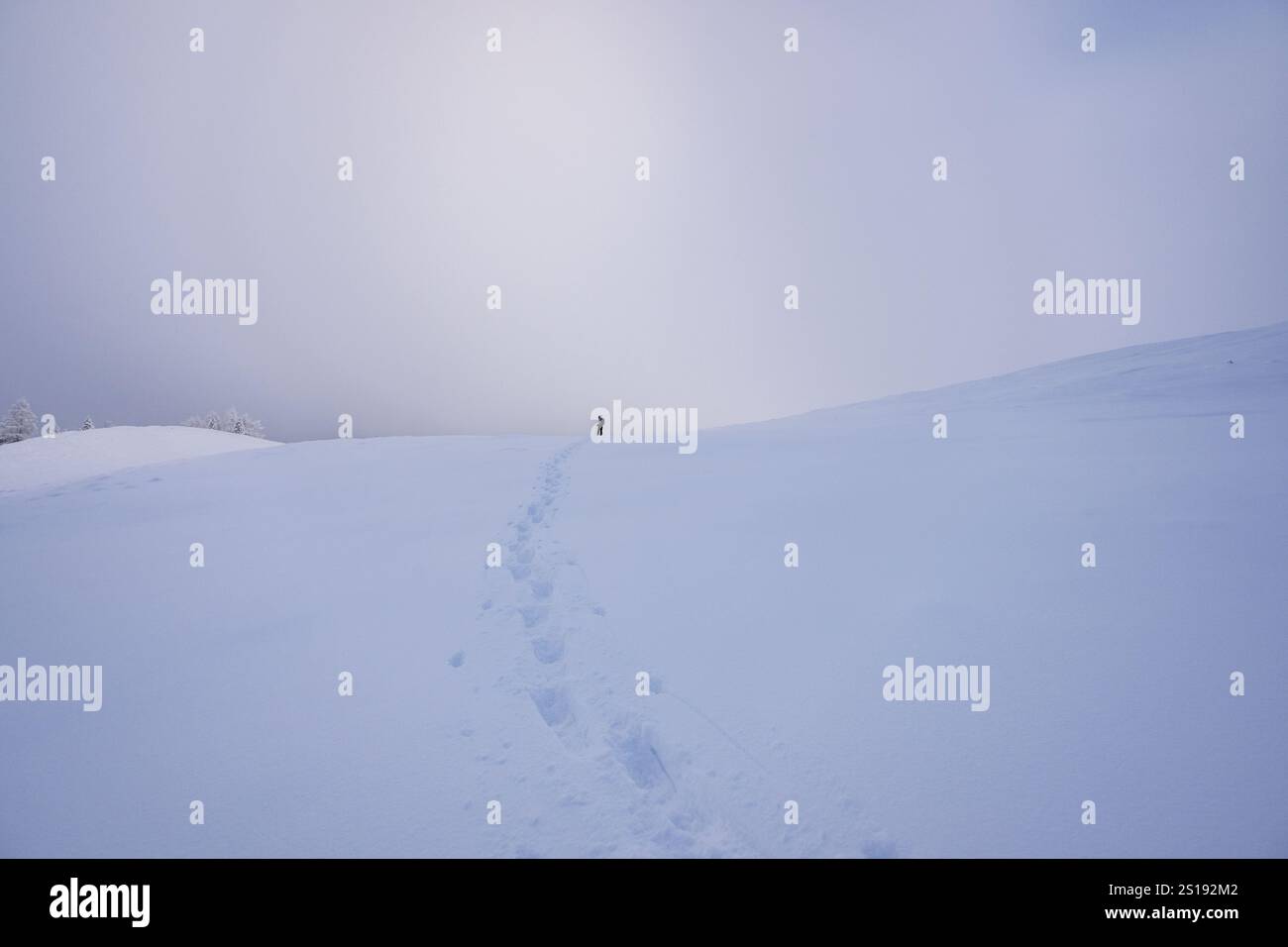 Schneeschuhwanderung im Postalm Winterpark im Salzkammergut an den ...