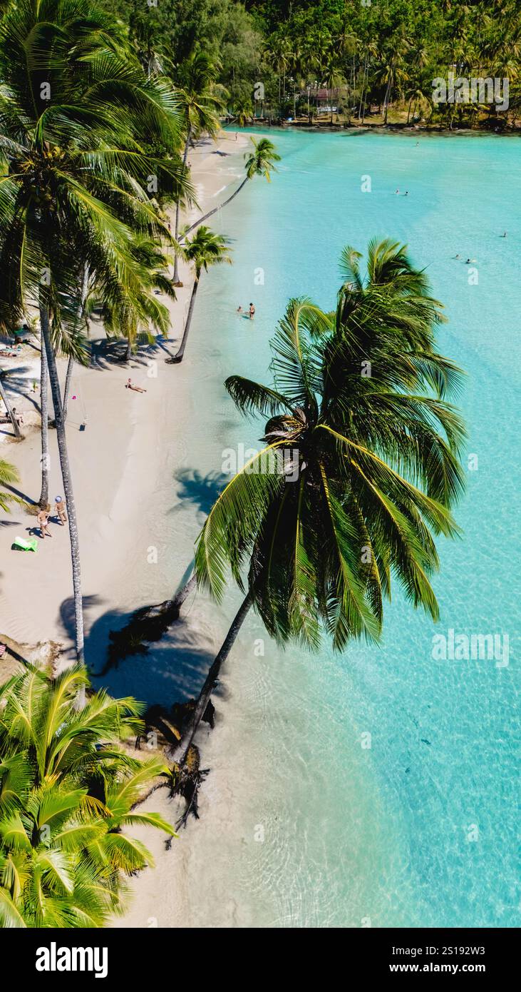 Lush green palm trees lean over the soft sandy beach, where sunbathers ...