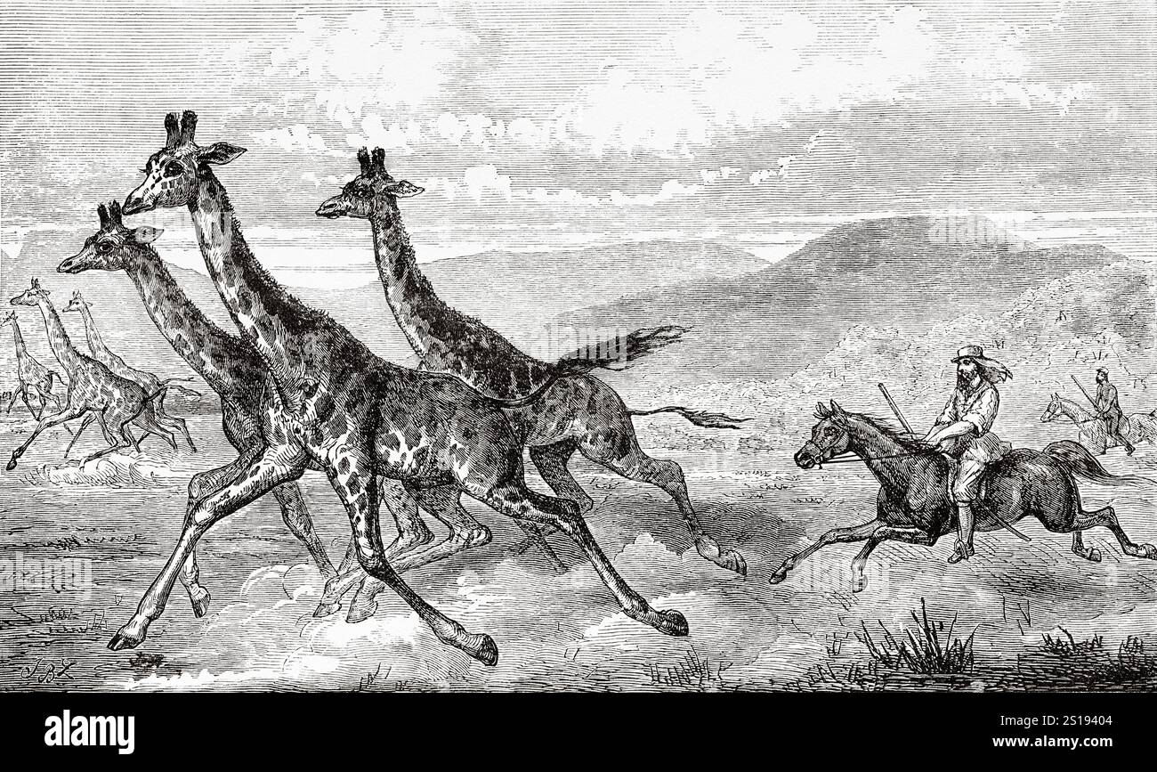 Sir Samuel Baker chasing a giraffe. East Africa. Journey to Lake Albert ...