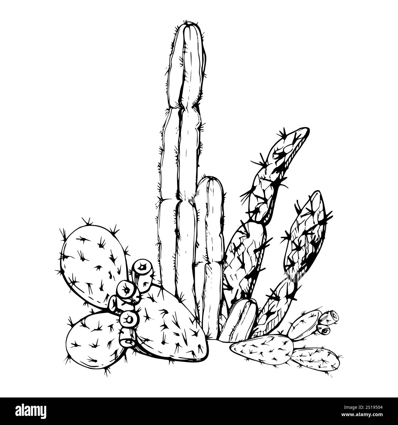 White nopal Stock Vector Images - Alamy