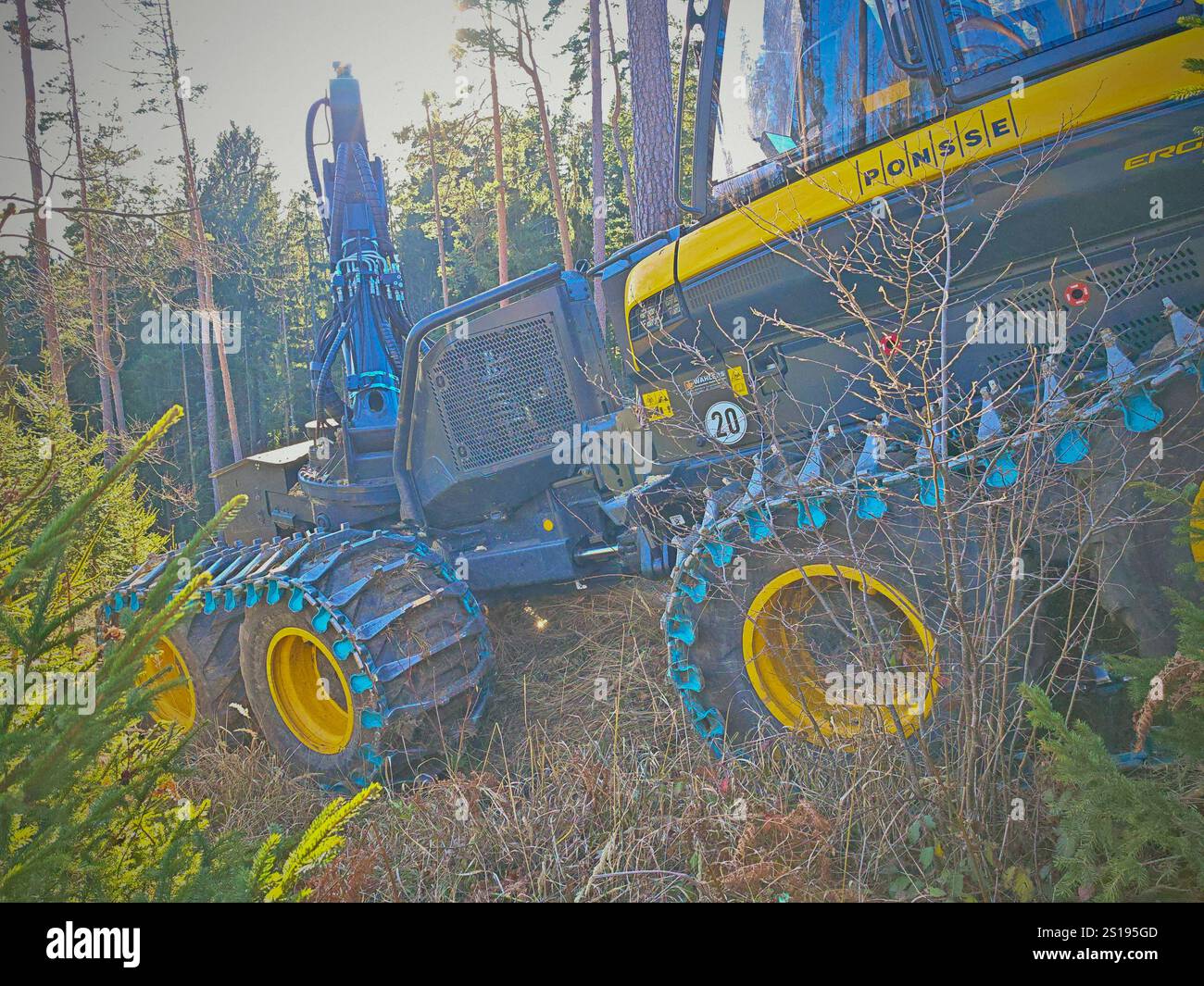 Harvesting trees with heavy machinery in the woods Harvesting trees ...