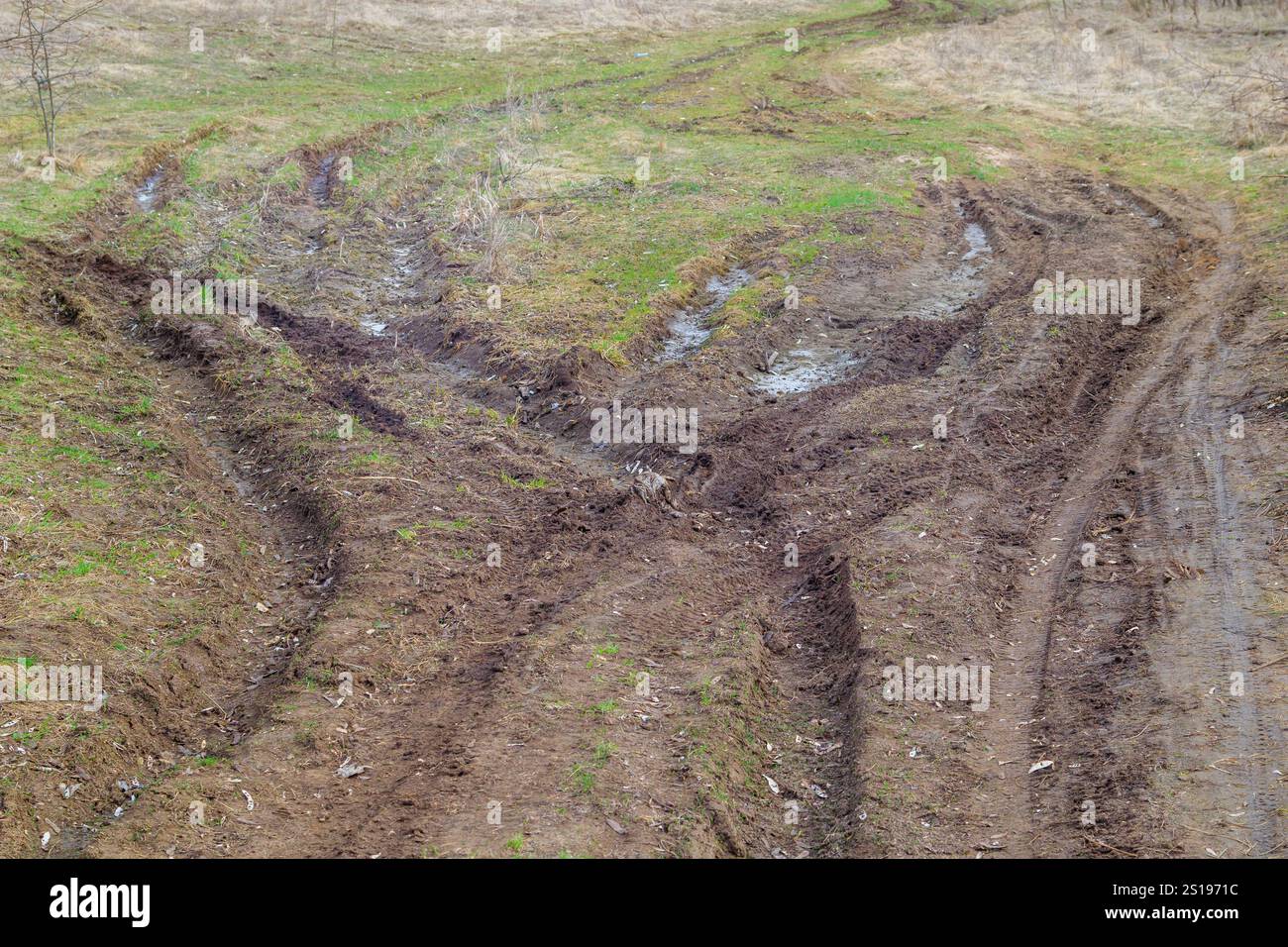 dirt road with deep tire tracks in a grassy forest in early spring ...