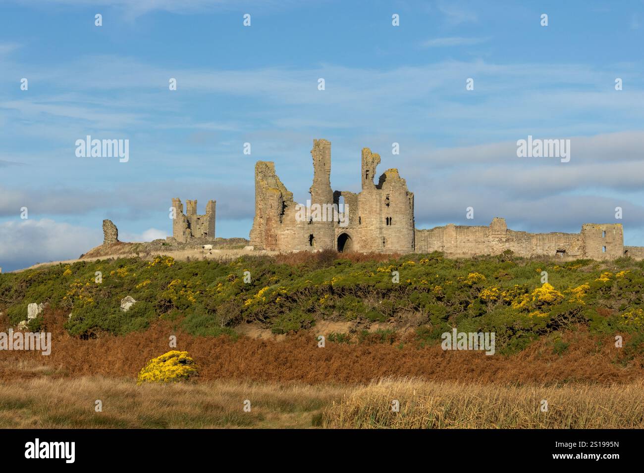 Light castle hi-res stock photography and images - Alamy