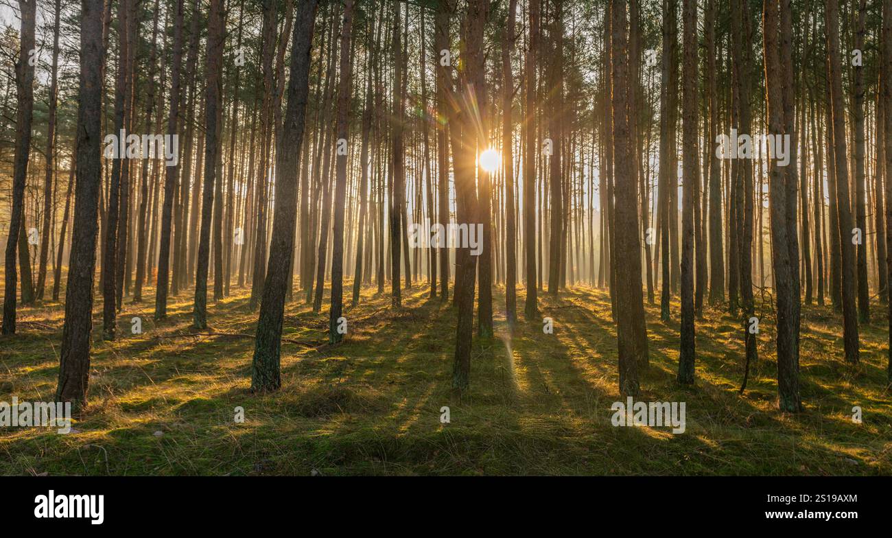 Rising summer sun hi-res stock photography and images - Alamy