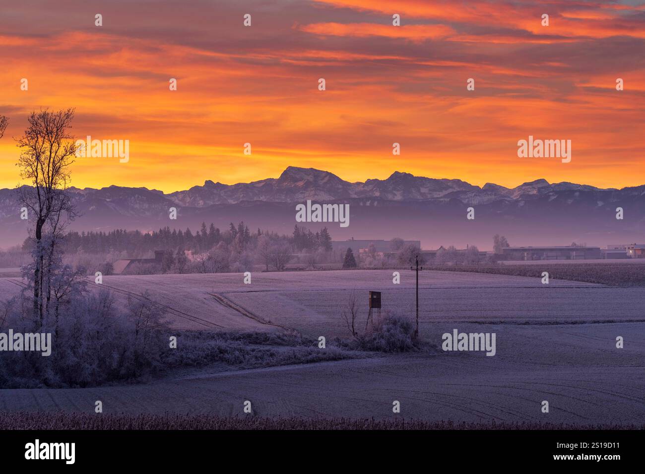 Austria, 02/01/2025, Beautiful sunrise seen over the Austrian Alps on a ...