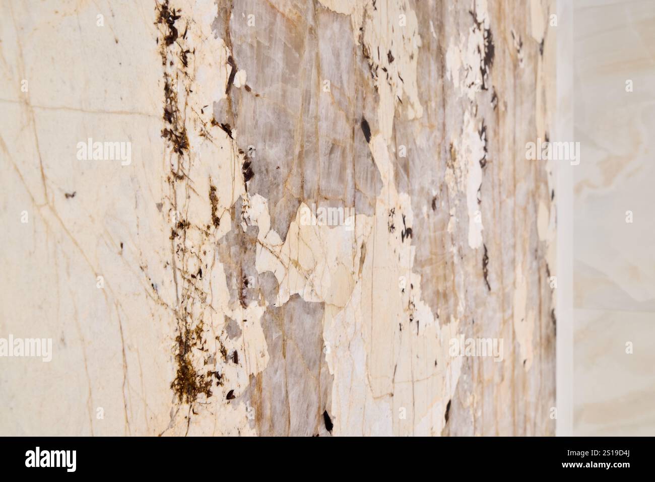A textured wall with peeling layers reveals an interesting surface ...