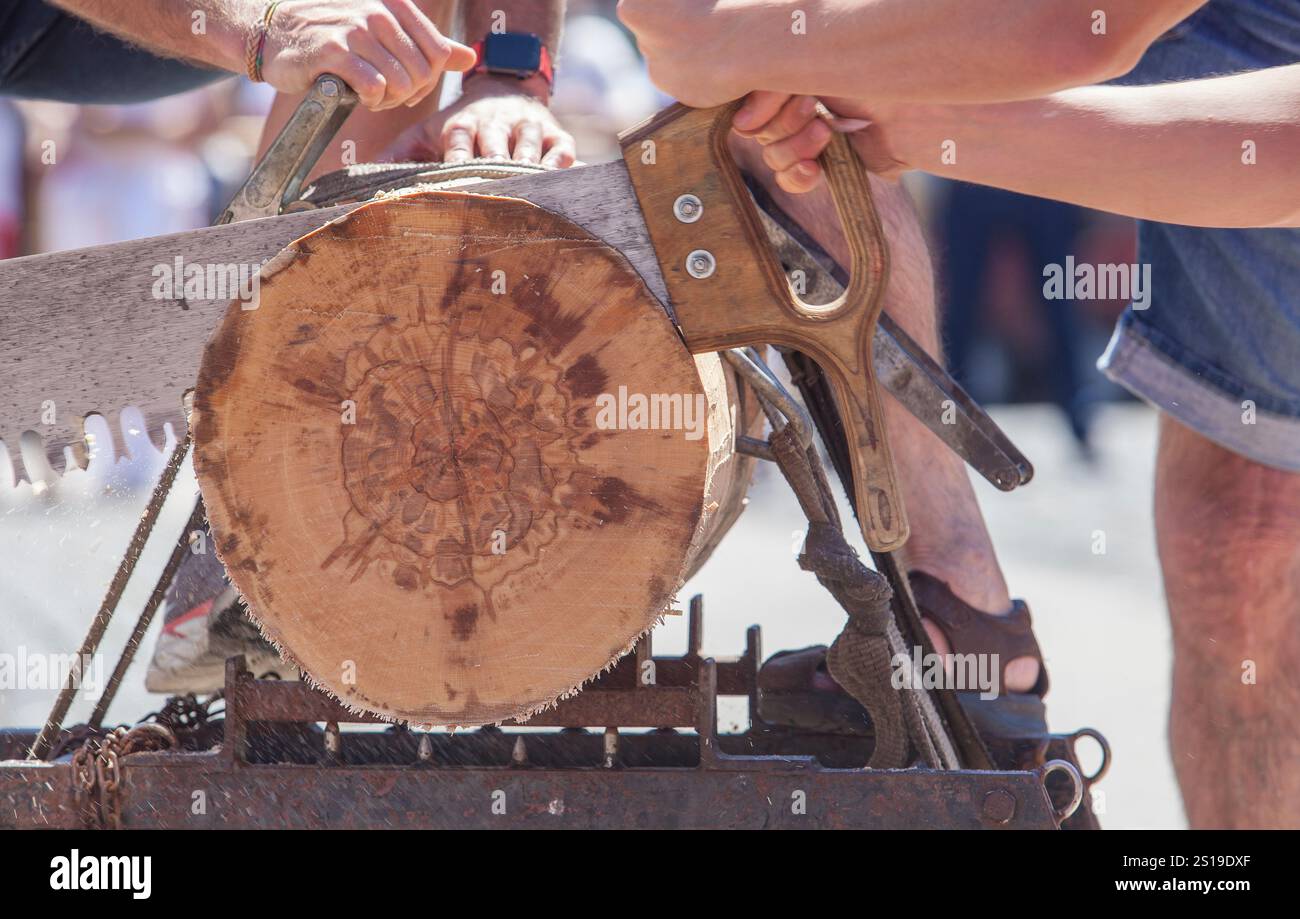 Sawing or trontza, traditional navarrese and basque country sport ...