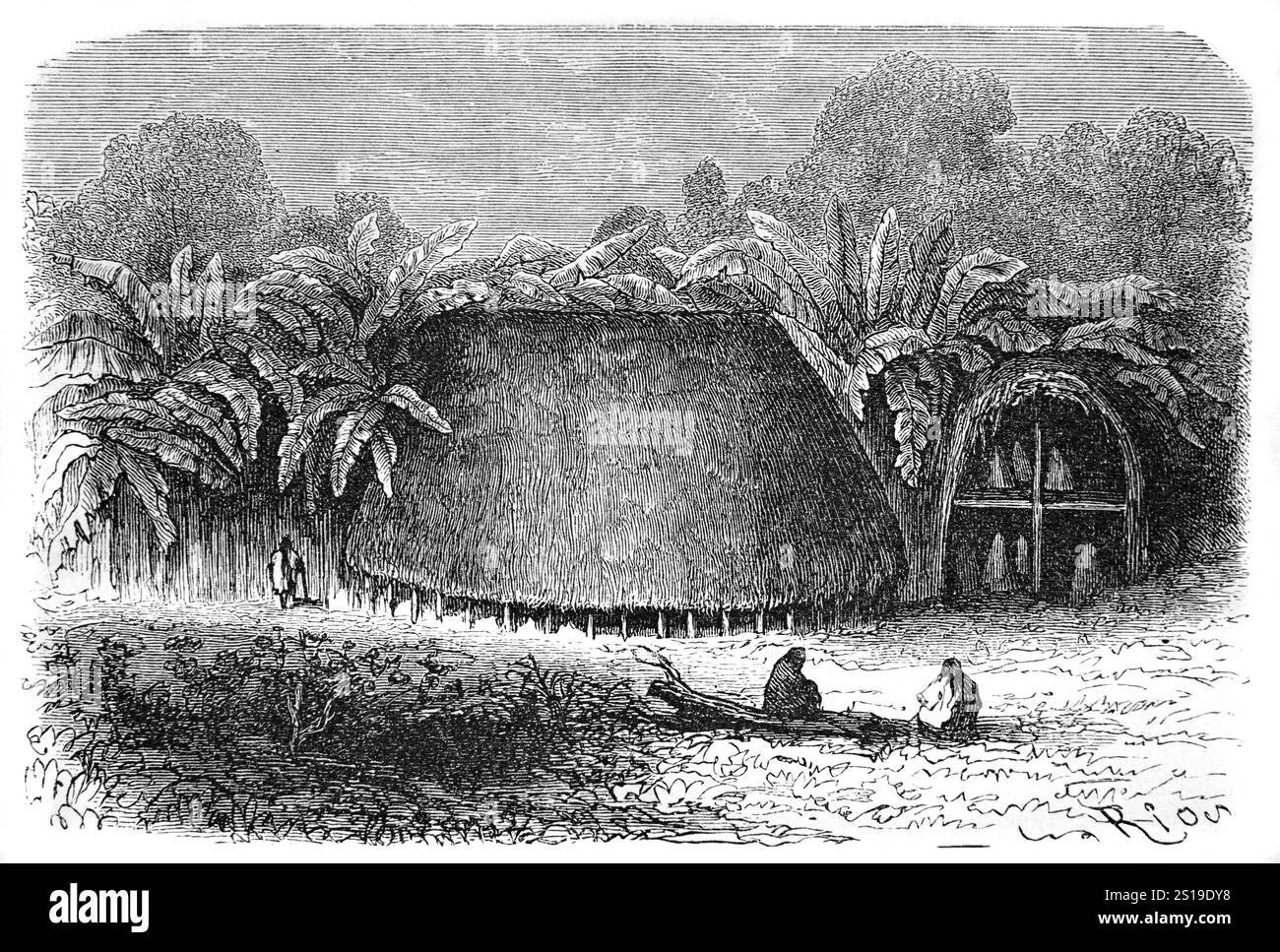 Shipibo-Conibo Longhouse, Long House, Grass Hut, Communal DDwelling or ...