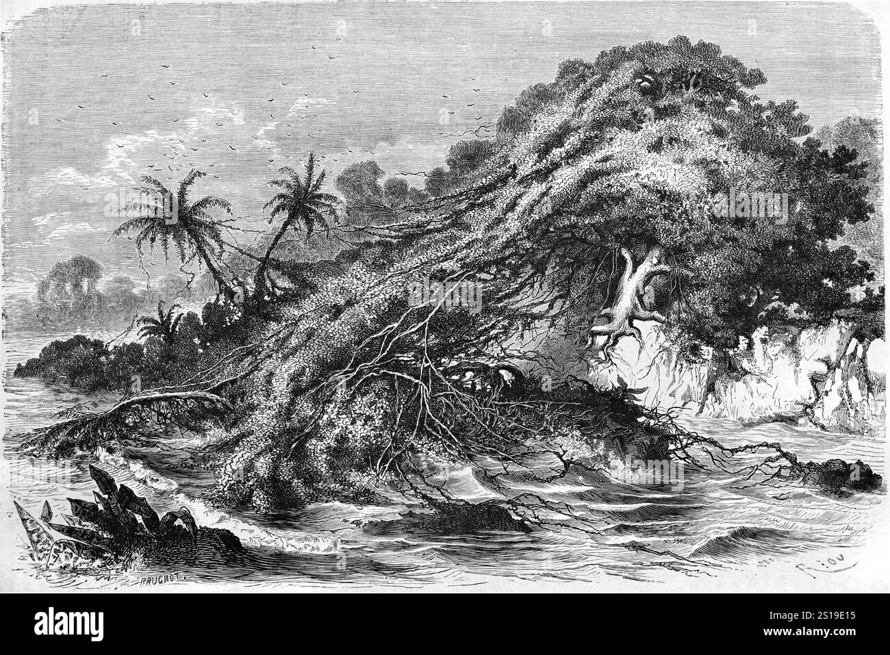 River bank erosion hi-res stock photography and images - Alamy