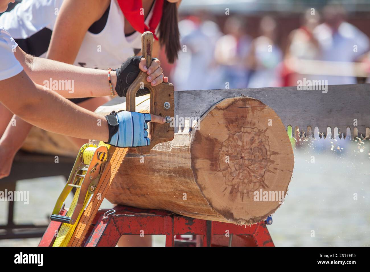 Sawing or trontza, traditional navarrese and basque country sport ...