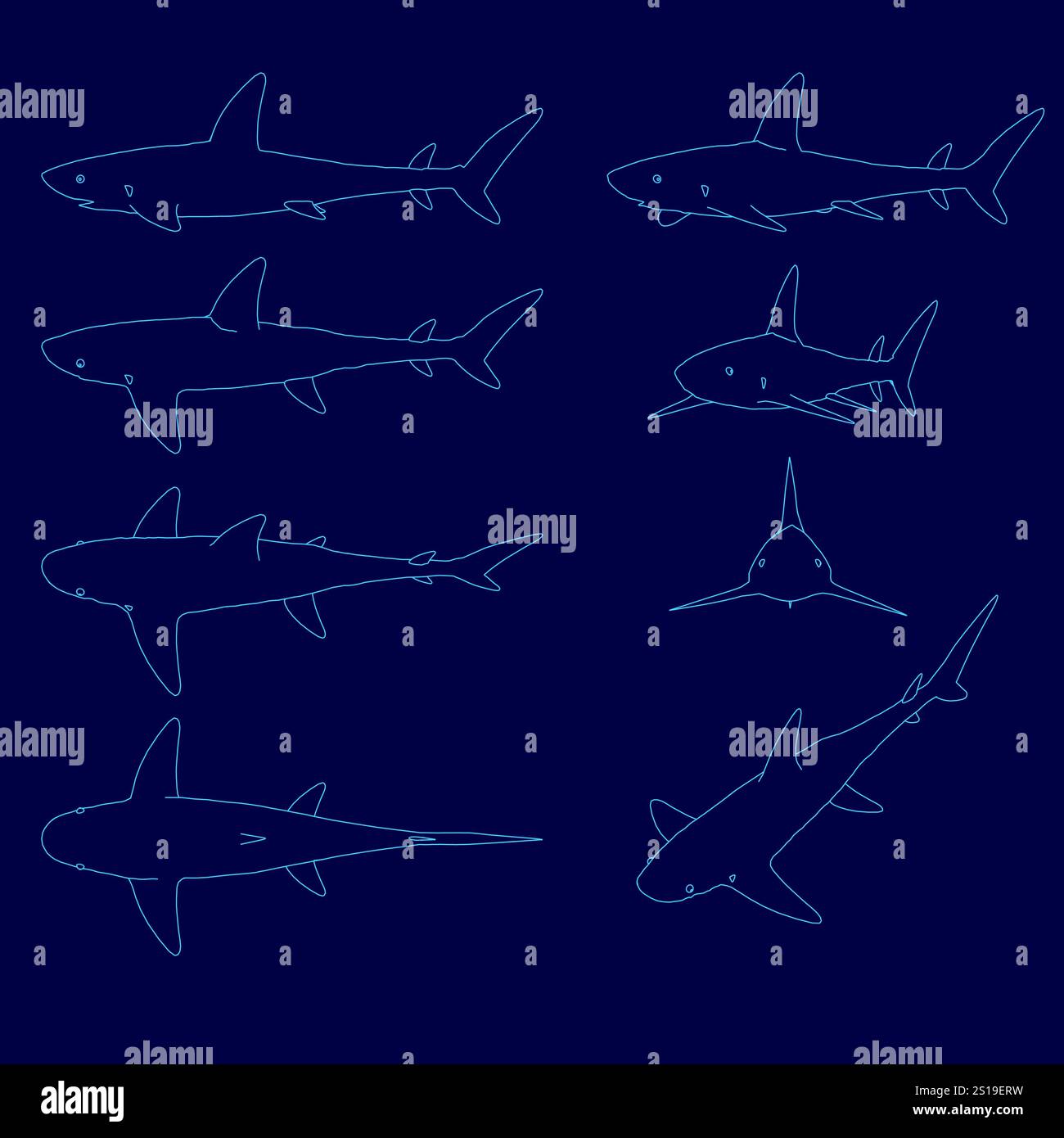 Series of blue drawings of sharks. The drawings are all different sizes ...