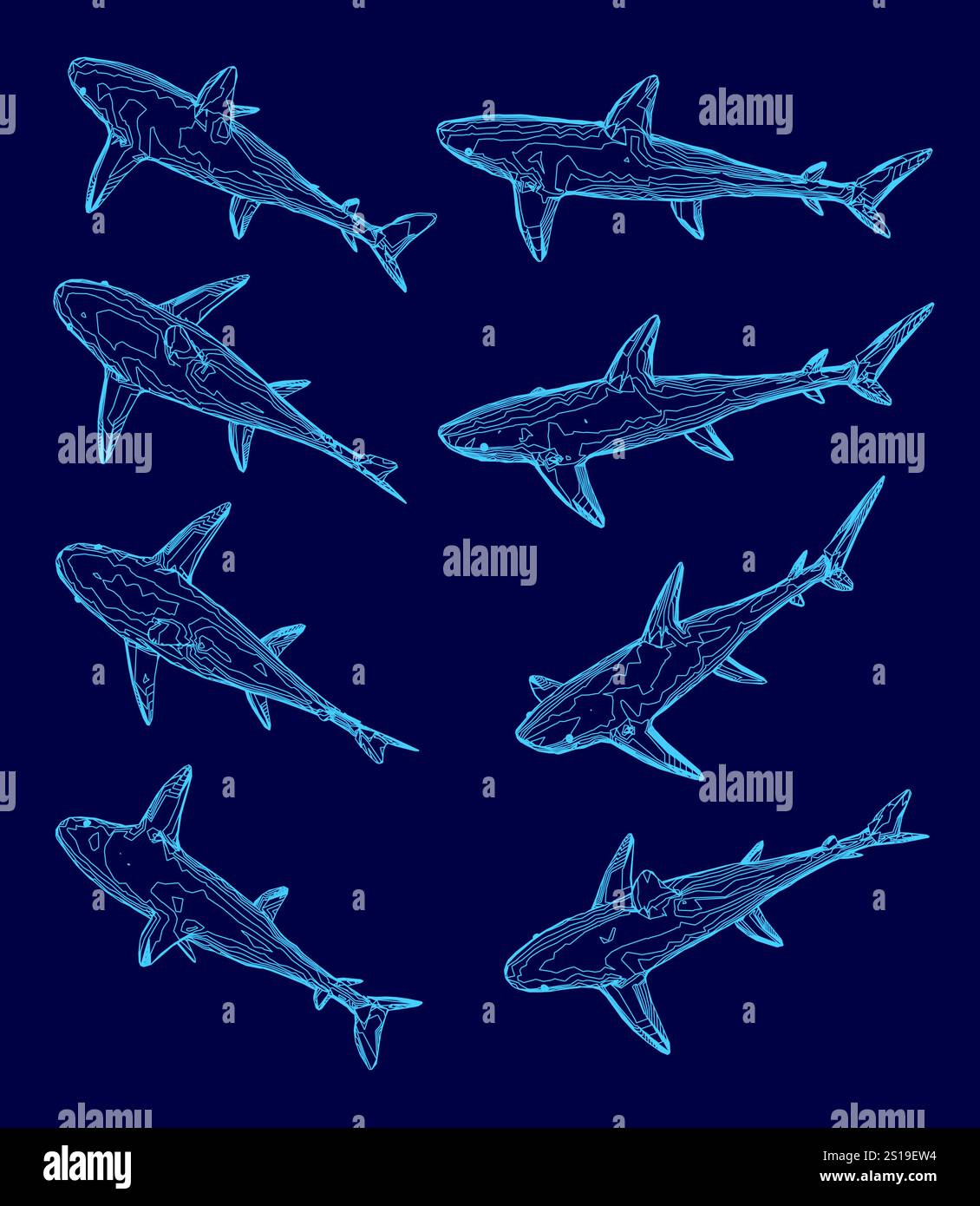 Series of blue drawings of sharks. The drawings are of different sizes ...