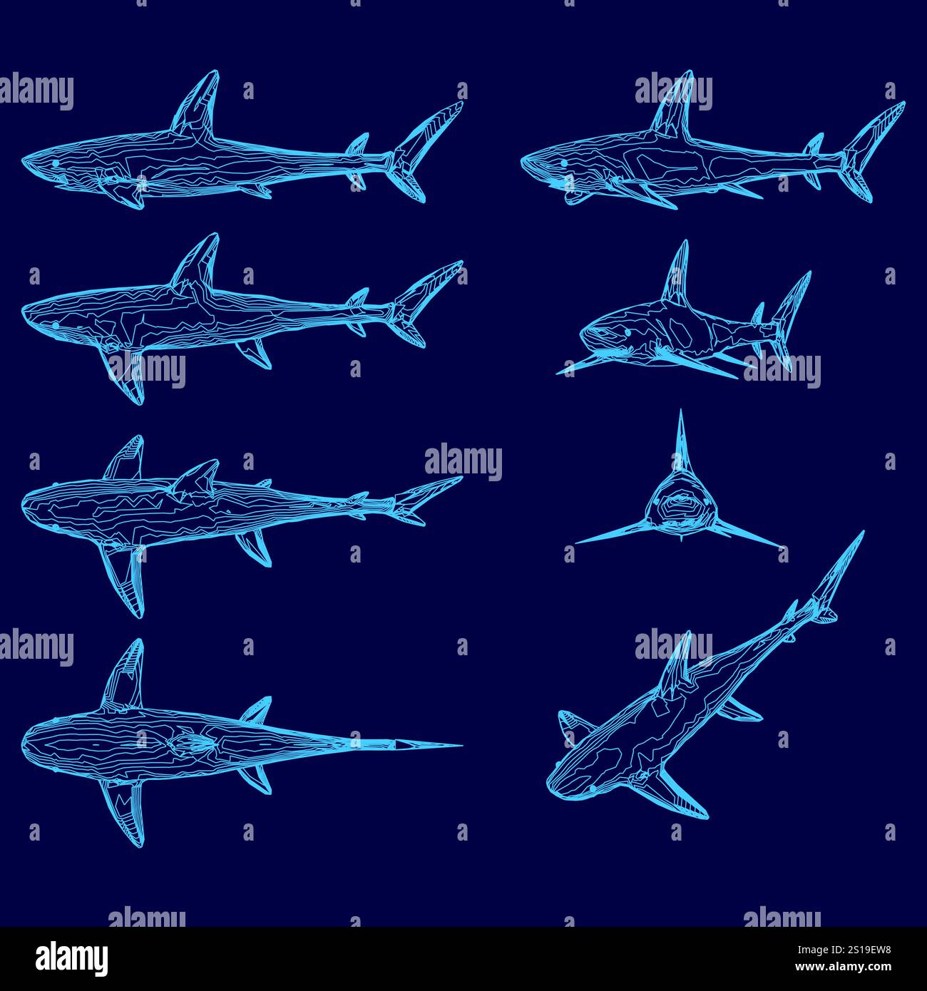 Series of blue drawings of sharks. The drawings are all different sizes ...