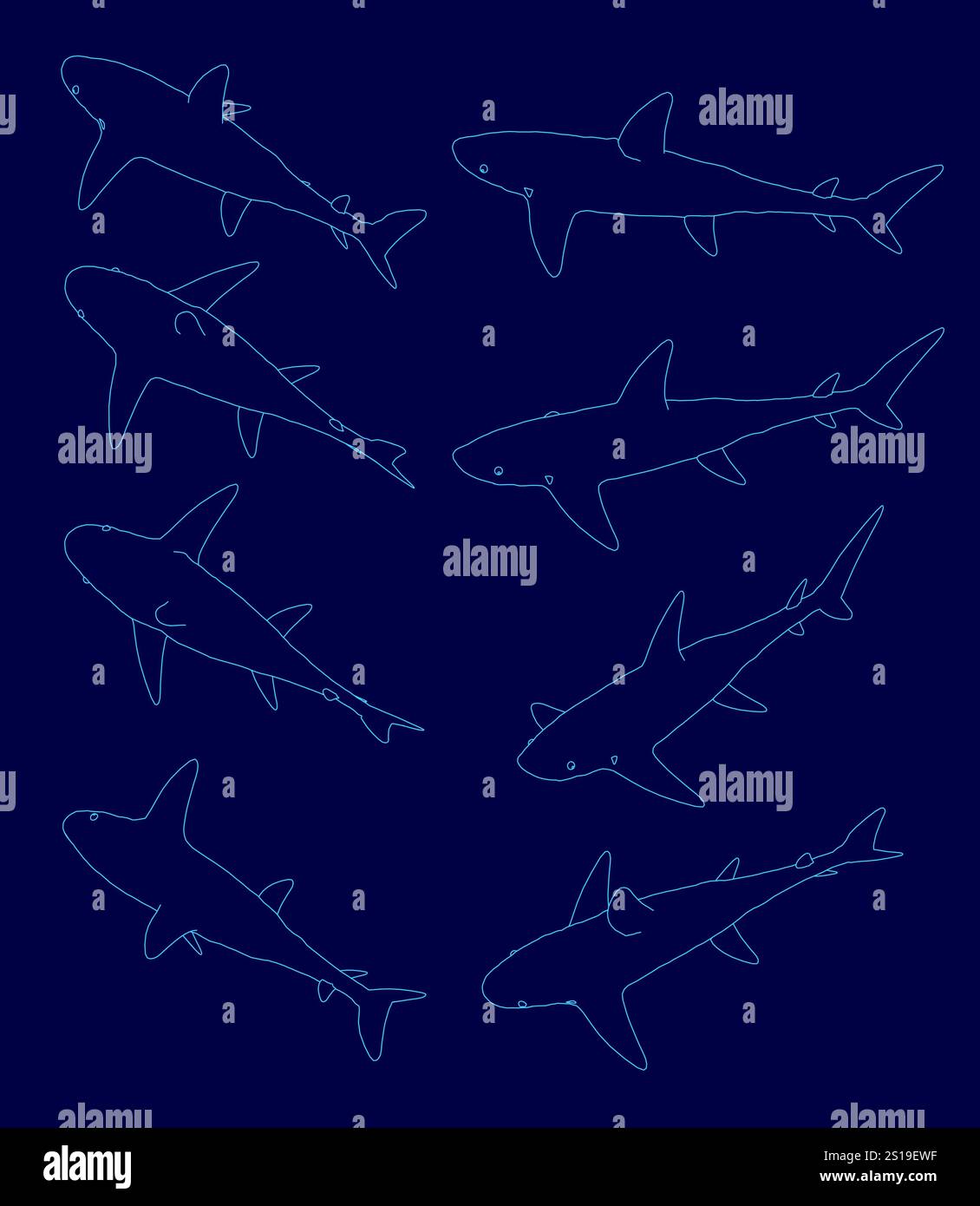 Series of blue drawings of sharks. The sharks are all different sizes ...
