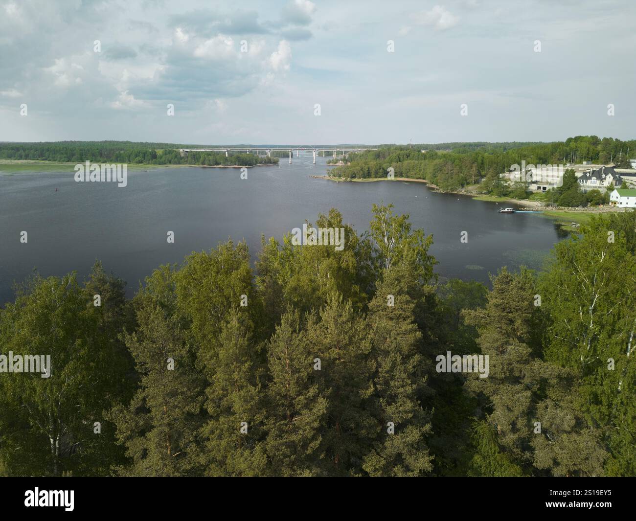 A Serene Lakeside View, Enveloped by Lush Greenery and Natural Beauty ...