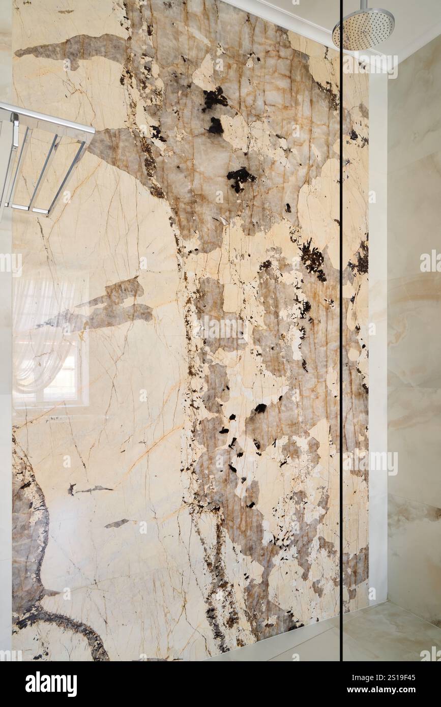 An Elegant Shower Wall featuring a Unique Marble Texture that enhances ...