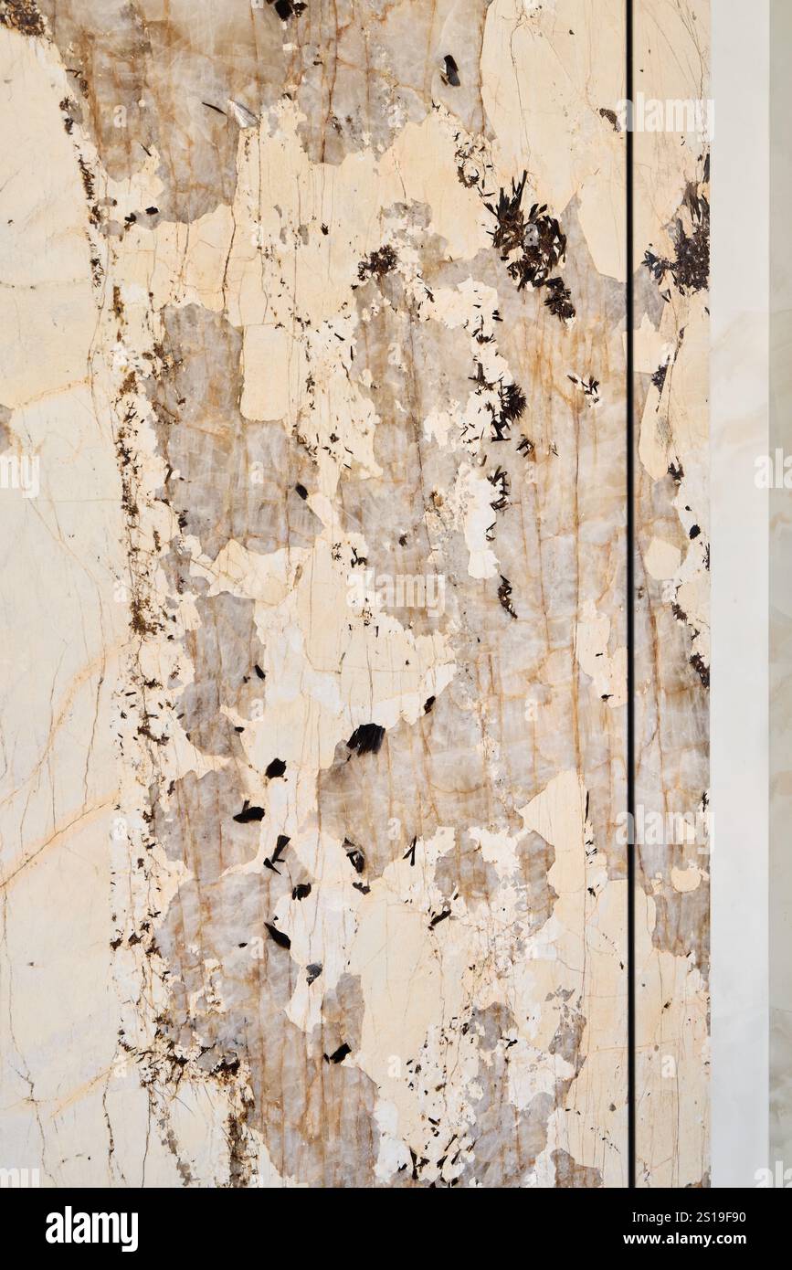 This textured wall features natural patterns and unique marks that ...