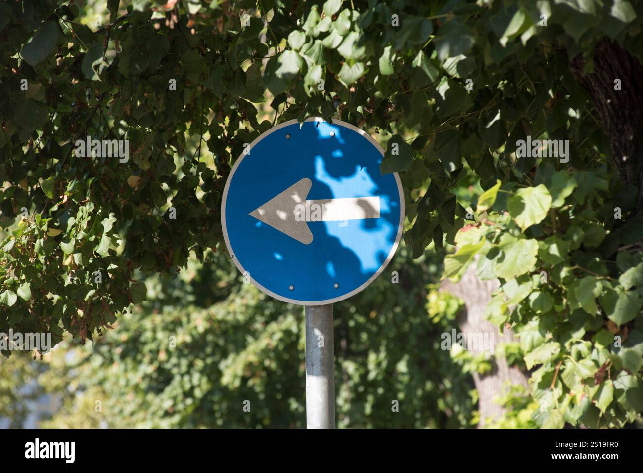 direction arrow points in one way, sign to move towards this direction ...