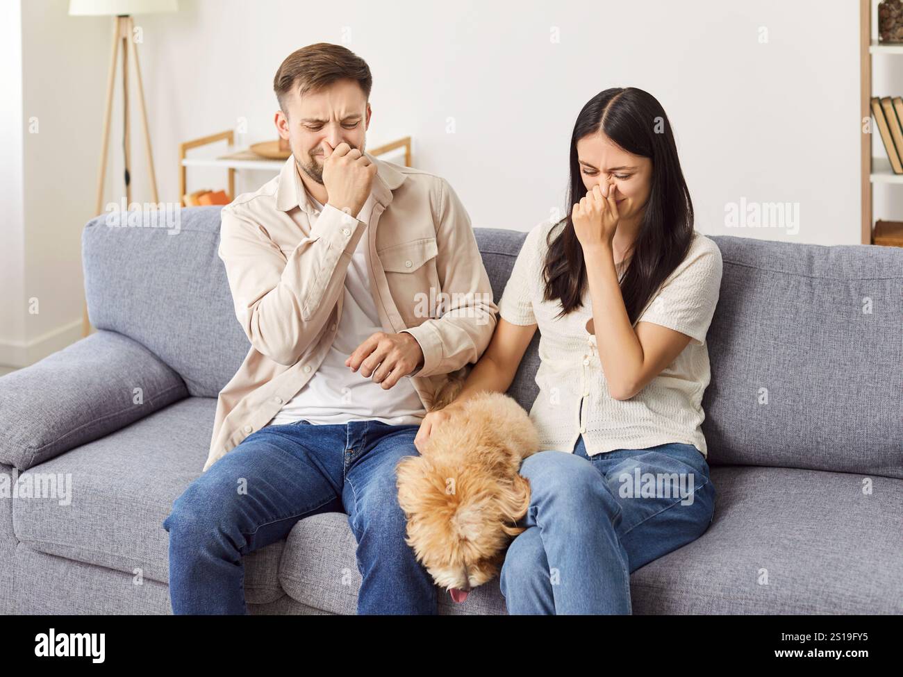 Young couple sitting on sofa with dog, holding their noses in ...