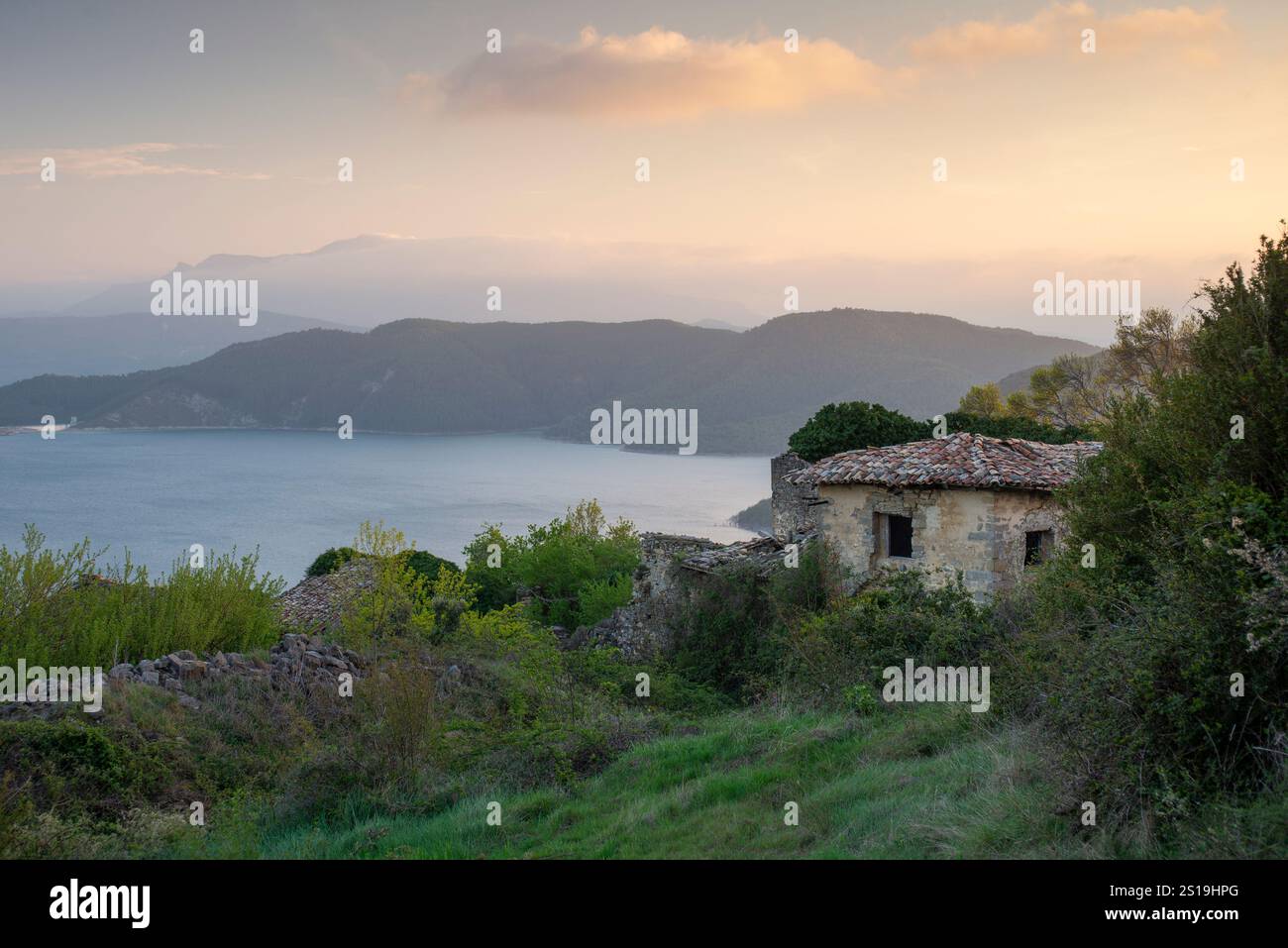 Camino de arce hi-res stock photography and images - Alamy