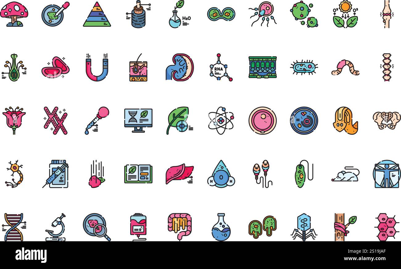 High-Quality Vector Icons Collection with Editable Stroke. Ideal for ...