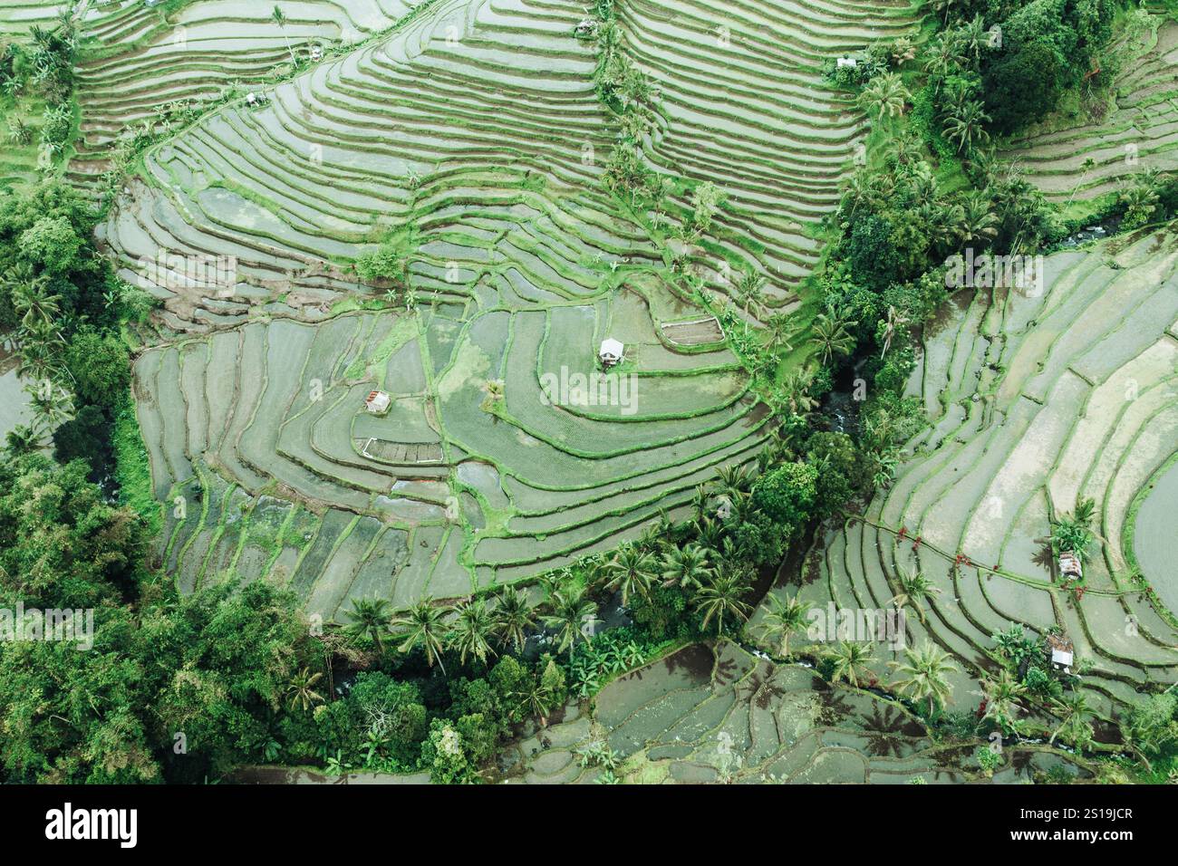 Jatiluwih Rice Terraces, aerial view, Bali Stock Photo - Alamy