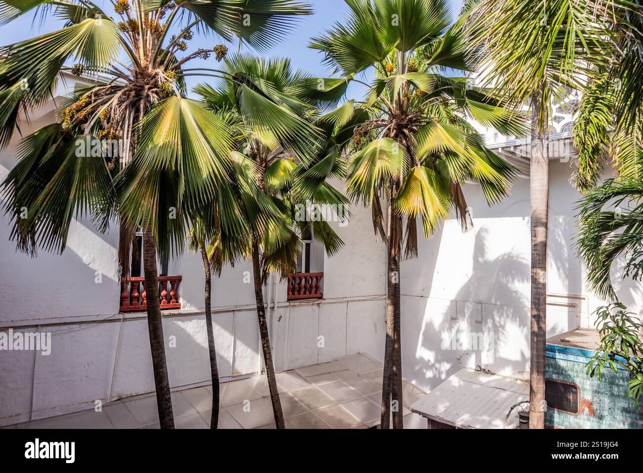Small courtyard with palm trees in the old town of Cartagena de Indias ...