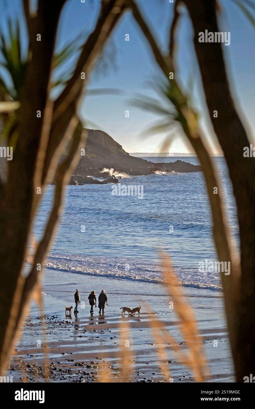 Swansea, UK. 02nd Jan, 2025. People out walking their dogs while making ...