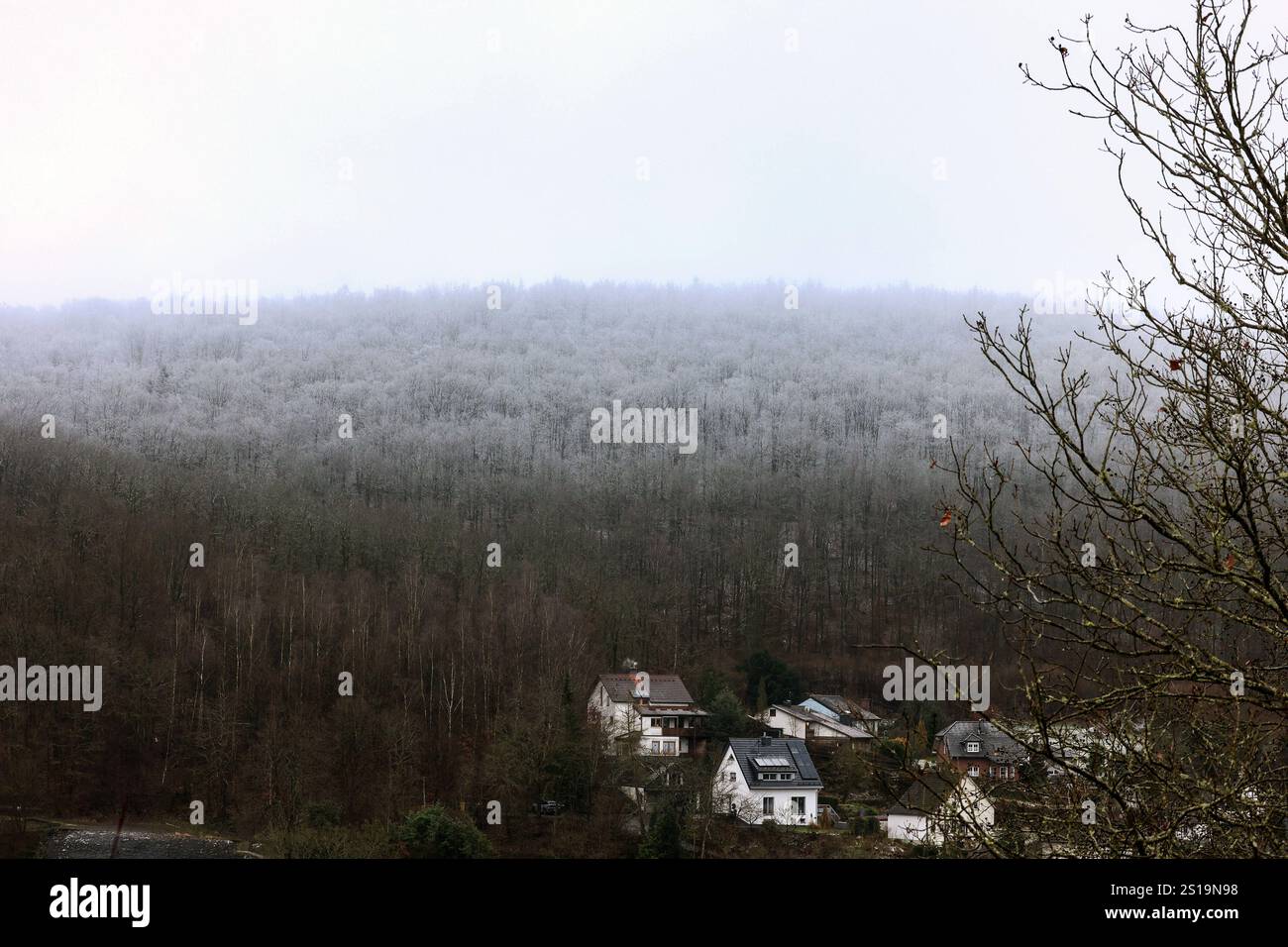 Der Januar zeigt sich zu Beginn Nass, Kalt und ungemuetlich ungemütlich ...