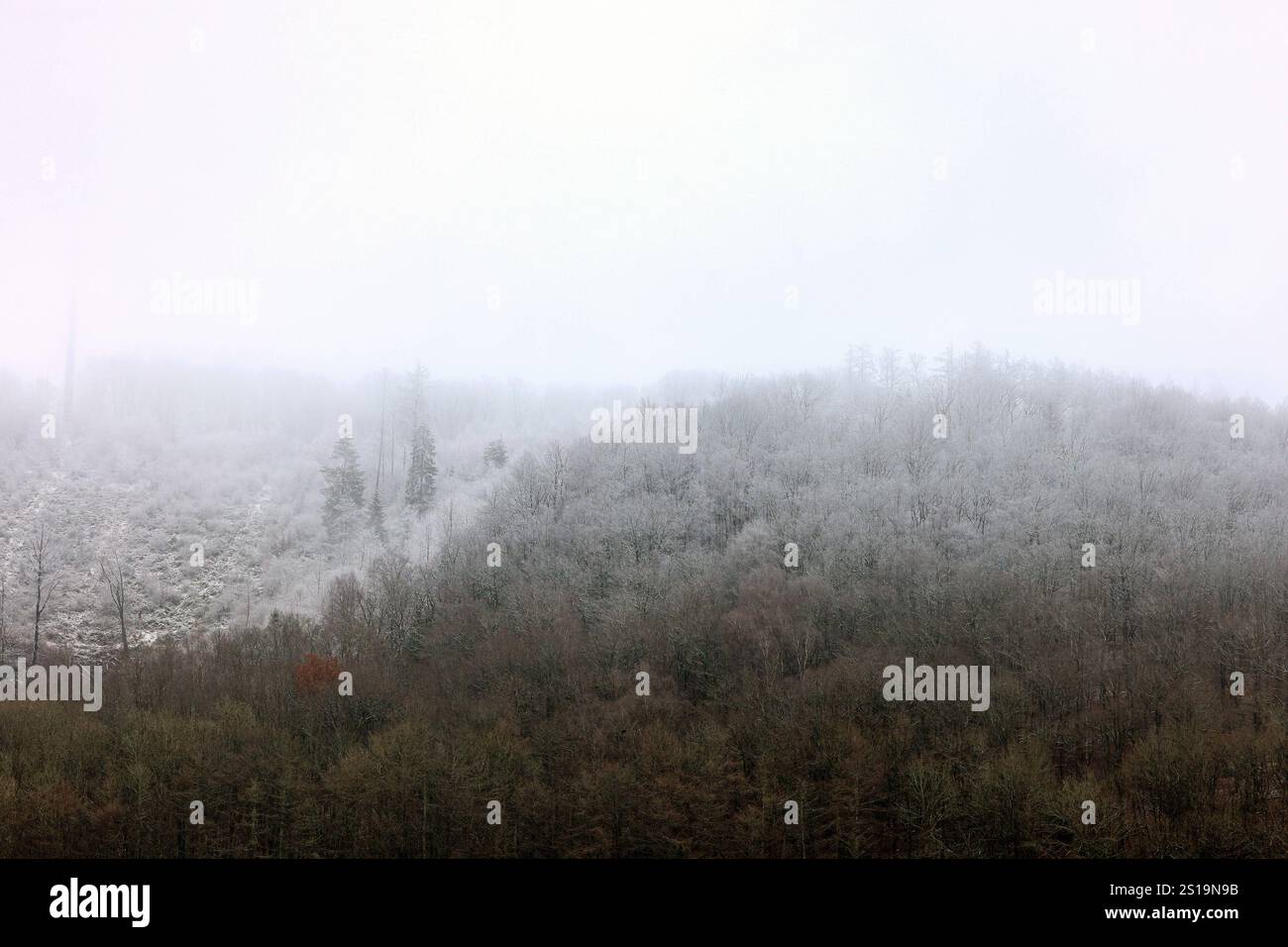 Der Januar zeigt sich zu Beginn Nass, Kalt und ungemuetlich ungemütlich ...