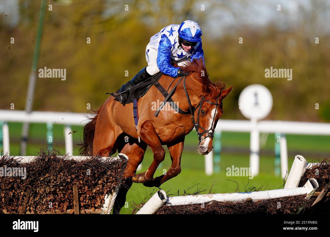 Hestina Hill ridden by Kielan Woods during the Advertise Your Business ...