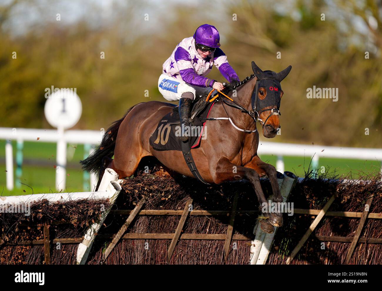 Theatre Tom ridden by Sean Bowen during the Advertise Your Business At ...