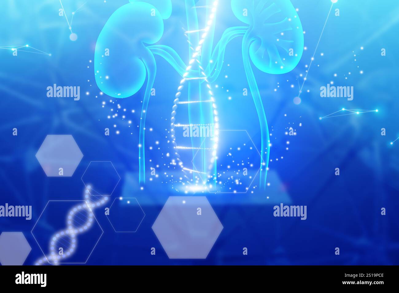 Medical technology. DNA and kidneys on blue gradient background ...