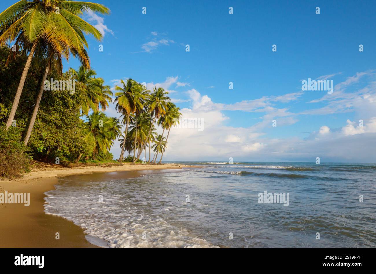 Beautiful summer landscapes on the tropical beach. Vacation background ...