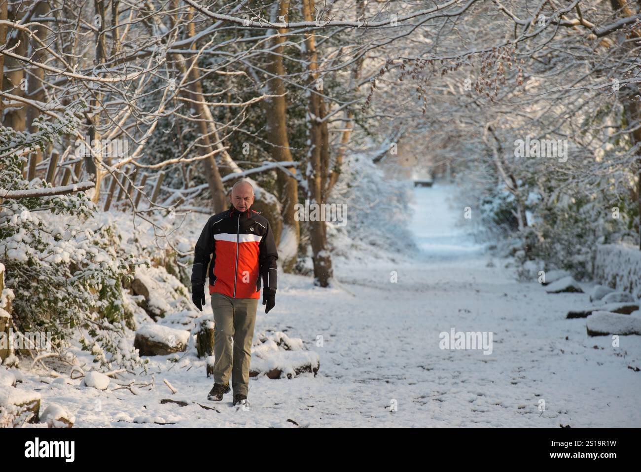 UK Weather.walker in snow it Cults Woods Aberdeen Scotland. 2nd Jan ...